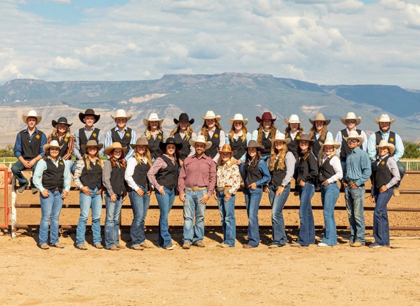 Funding Maverick Champions - Campaign